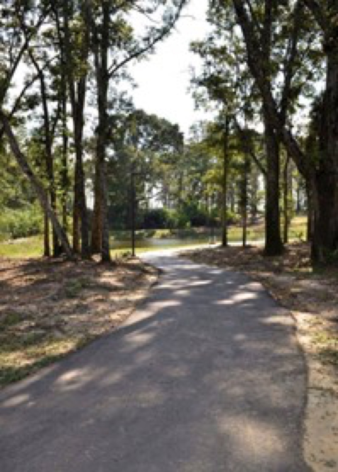 Live Well Broussard - Where Cajun Came To Be | City of Broussard, Louisiana